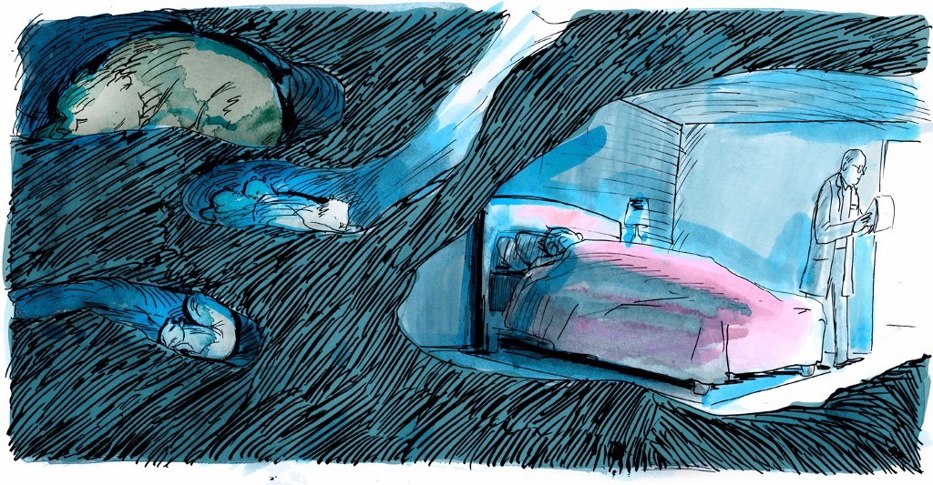 What Can Hibernation Do for Humans? - proto.life
