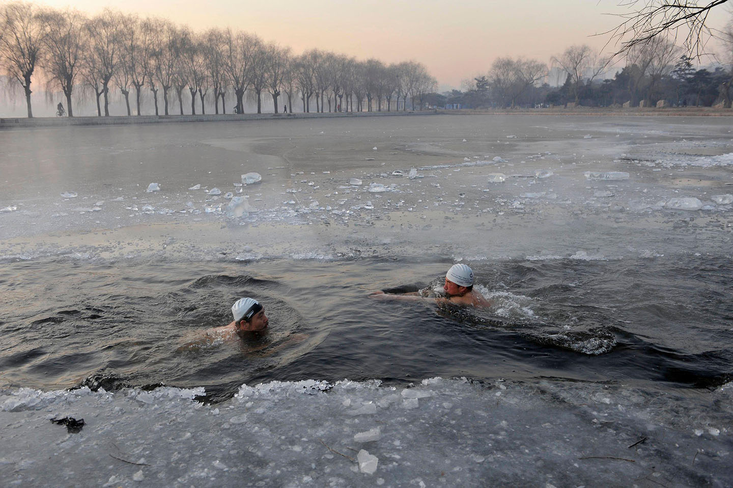 The Allure of the Ice-Cold Plunge - proto.life