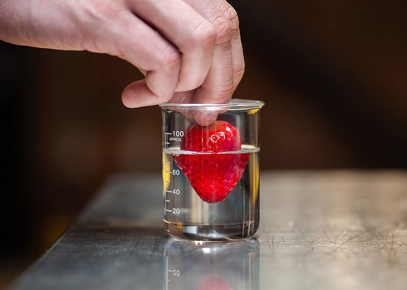 Food Lasts 1 Week Longer with this Edible Silk Coating - proto.life