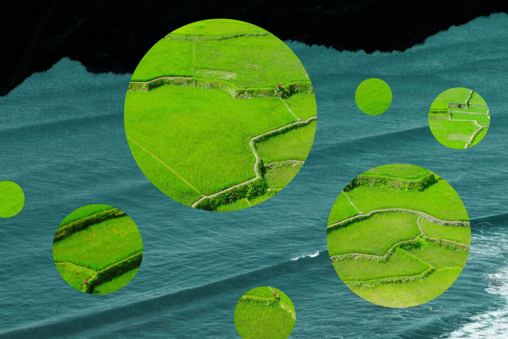 This Startup Wants to Grow Rice in the Ocean - proto.life