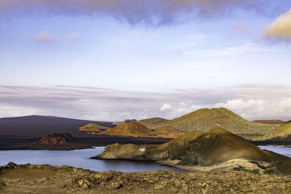 The Unnatural Evolution of the Galápagos Islands - proto.life